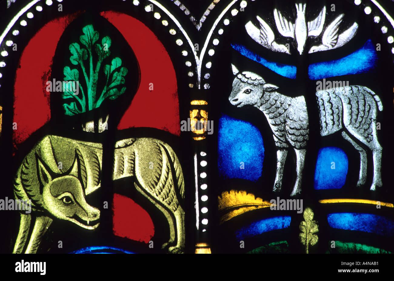 Stained glass sheep hi-res stock photography and images - Alamy
