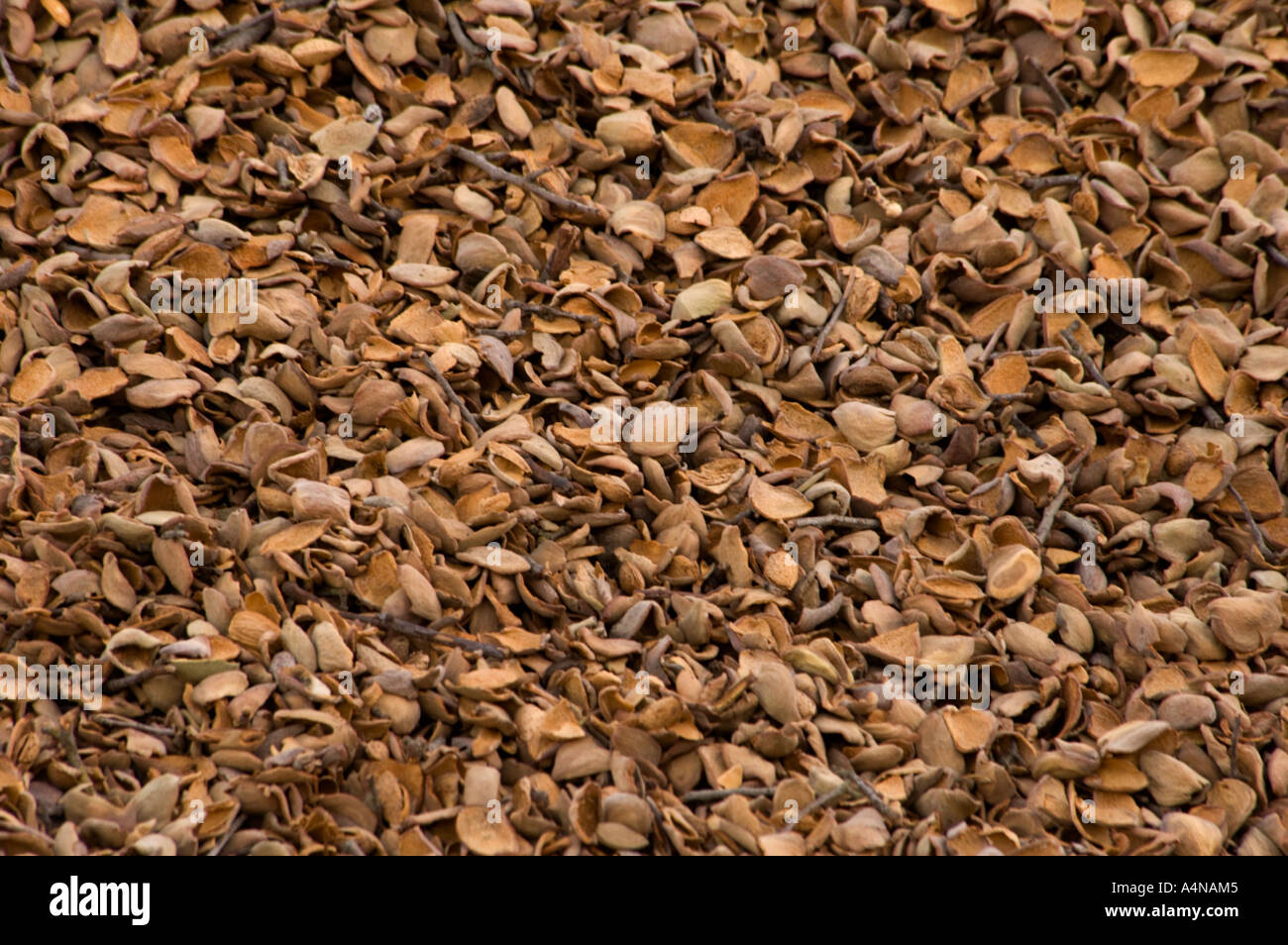 Almond Hulls At Processing Plant Stock Photo - Alamy