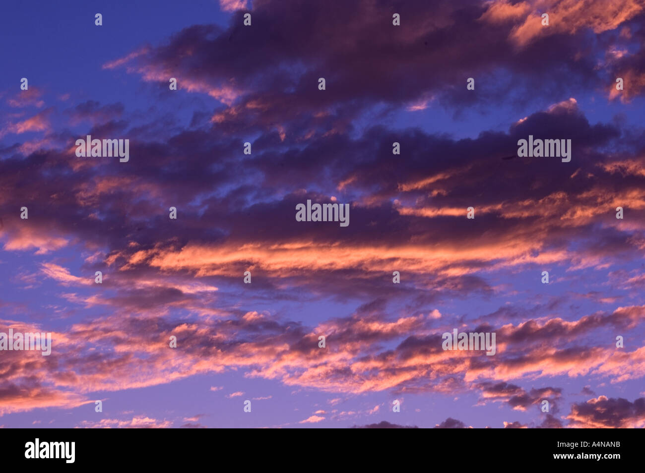 Background Layer Dark Stormy Clouds In Sky At Sunset Sunrist Stock ...