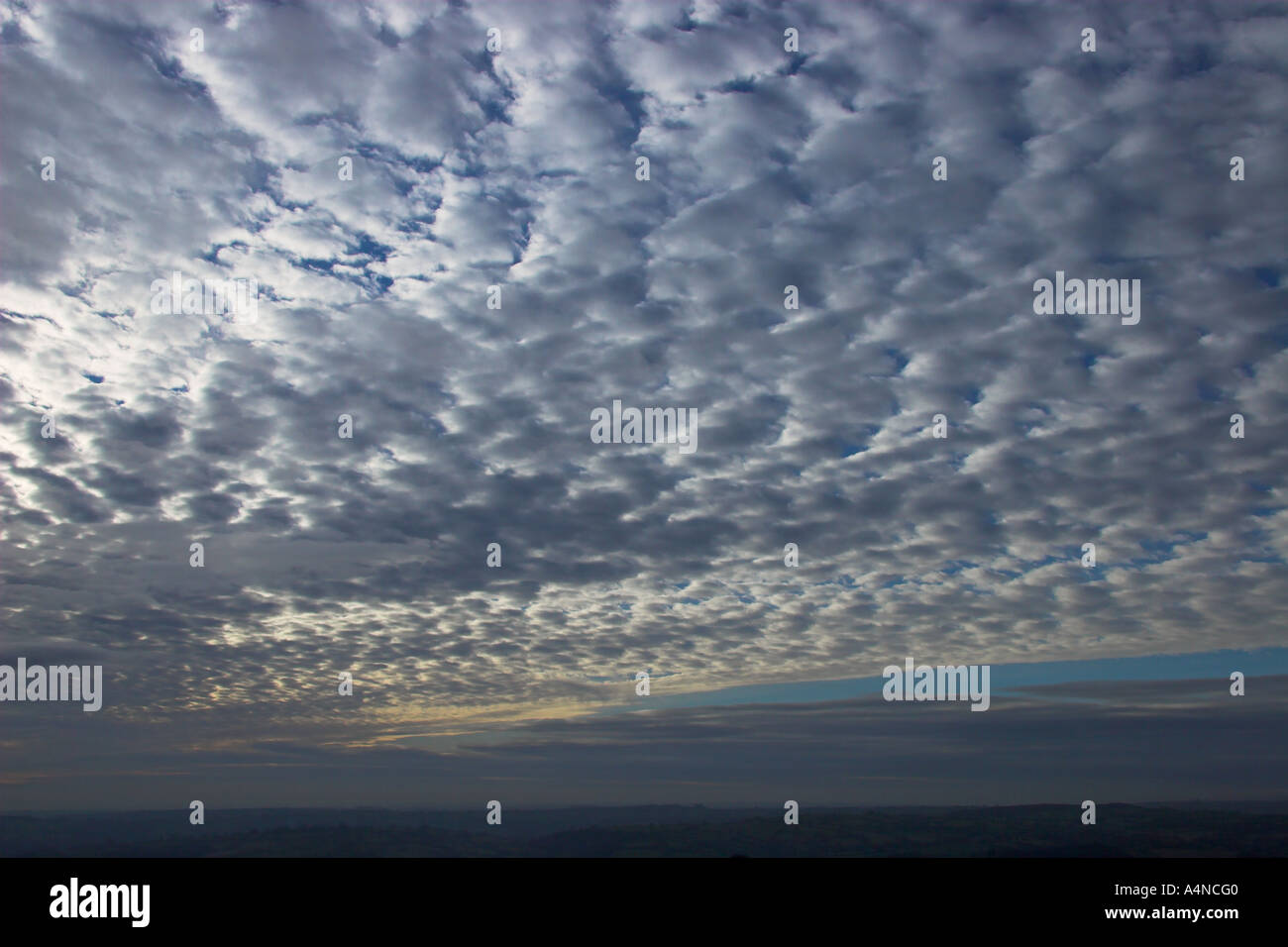 Alto english hi-res stock photography and images - Alamy