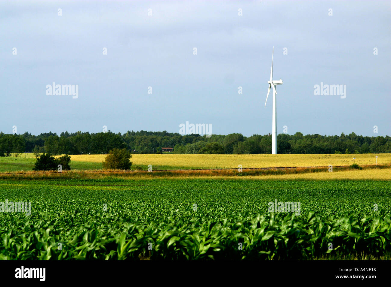 Landscape with wind turbine, Denmark Stock Photo - Alamy
