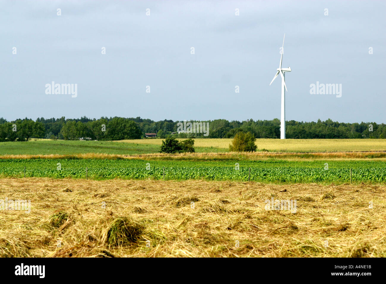 Landscape with wind turbine, Denmark Stock Photo - Alamy