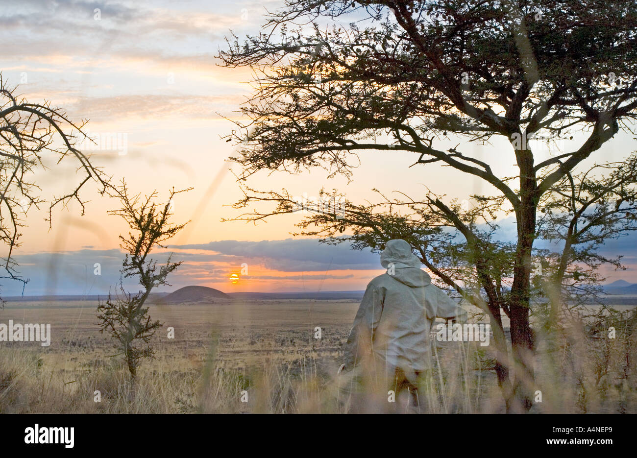 safari expedition adventurer man watchs sunset in the east african ...