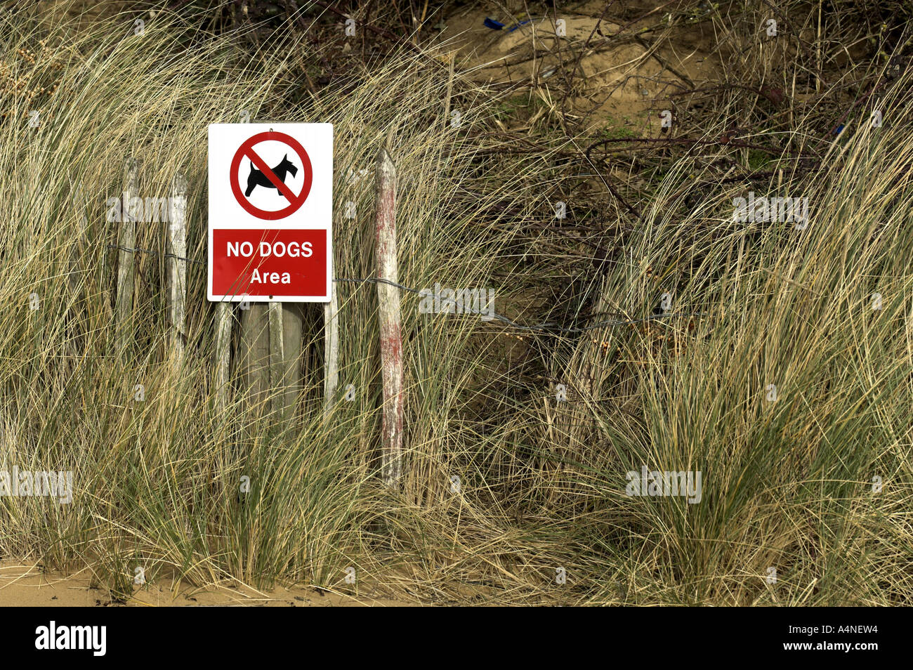 Fencing and sign on beach hi-res stock photography and images - Alamy