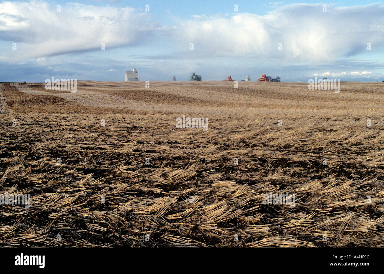 The Canadian Prairies in Western Canada Stock Photo - Alamy