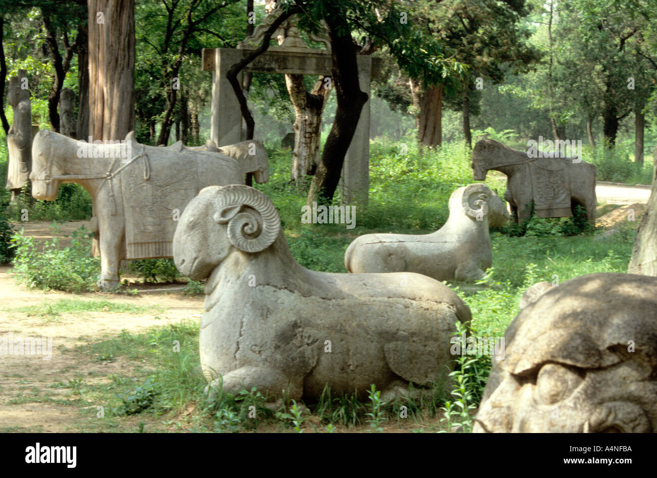 Stone sculptures of animals line the Spirit Way in the burial forest at ...