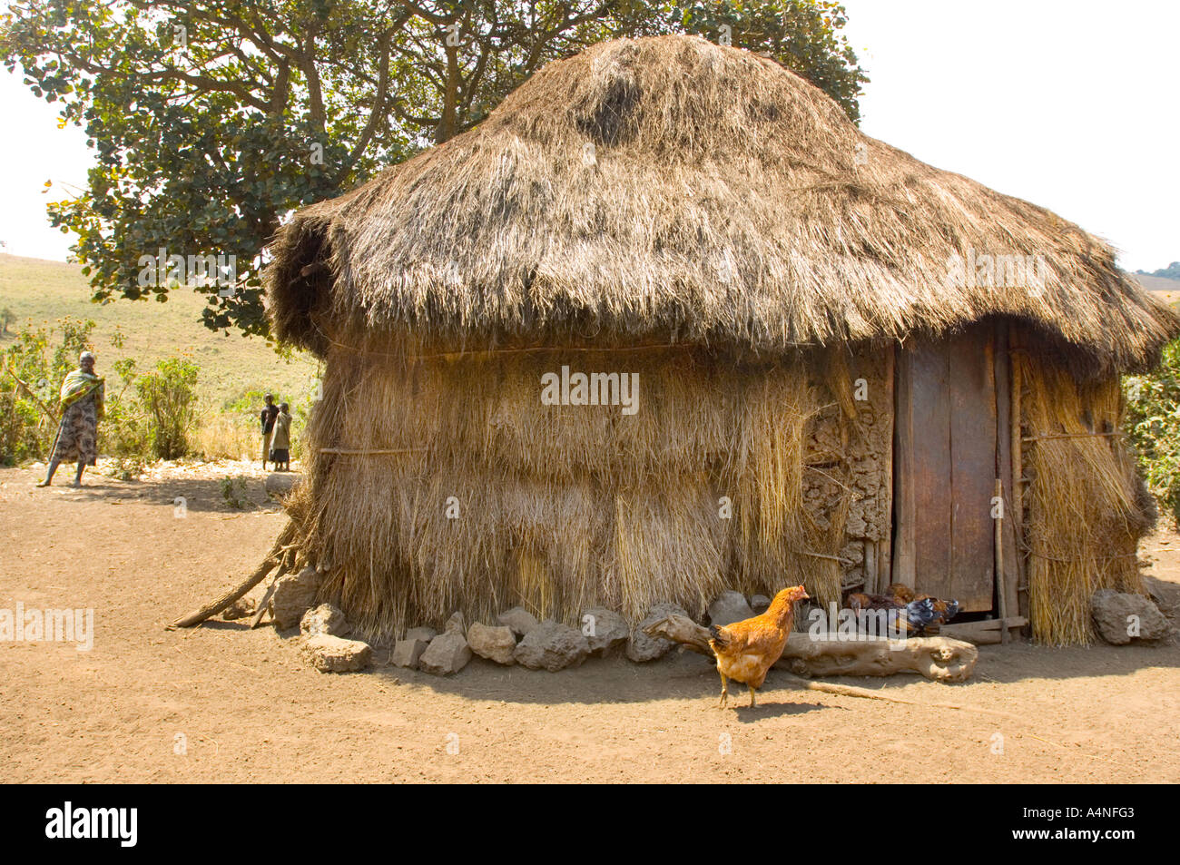 the traditional huts of an original maasai kupa family in the CHYULU ...