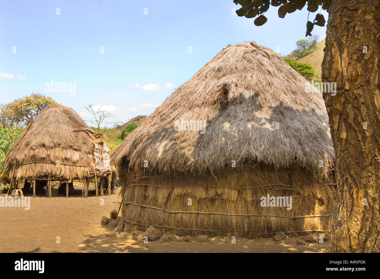 the traditional huts of an original maasai kupa family in the CHYULU ...