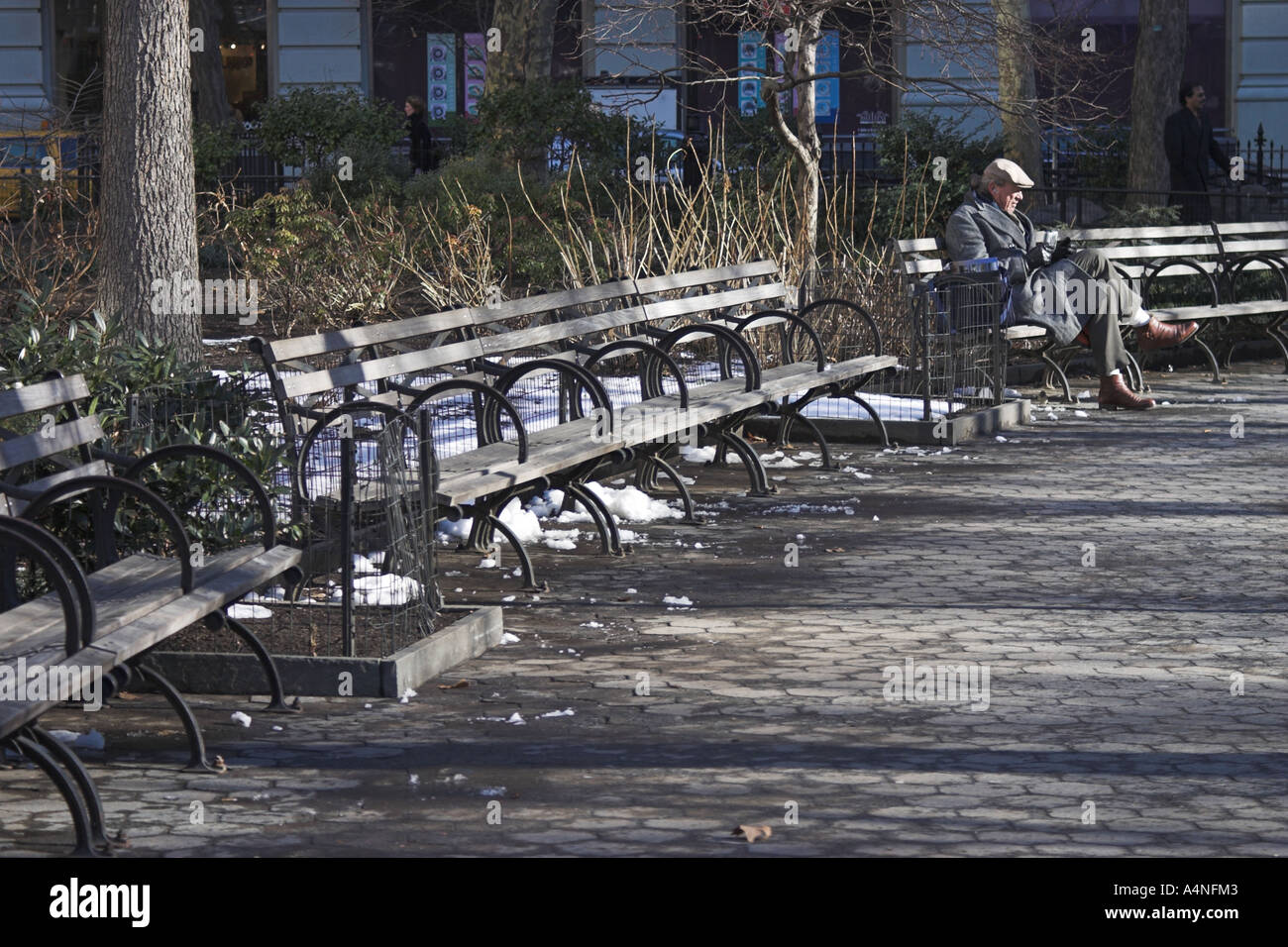 Man on Bench in Park in New York City, United States of America Stock ...
