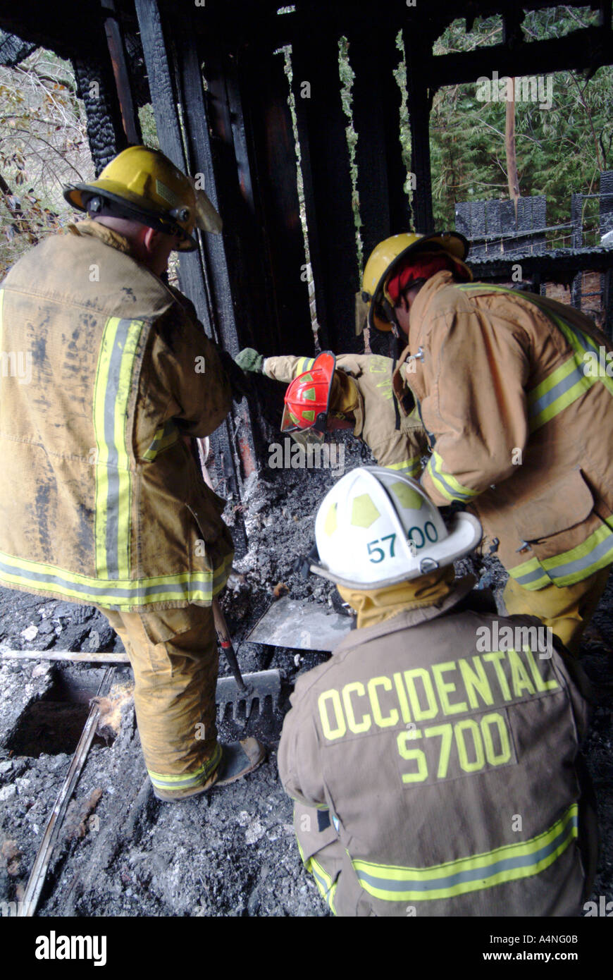 Fire fighters from several agencies investigate the cause of a ...
