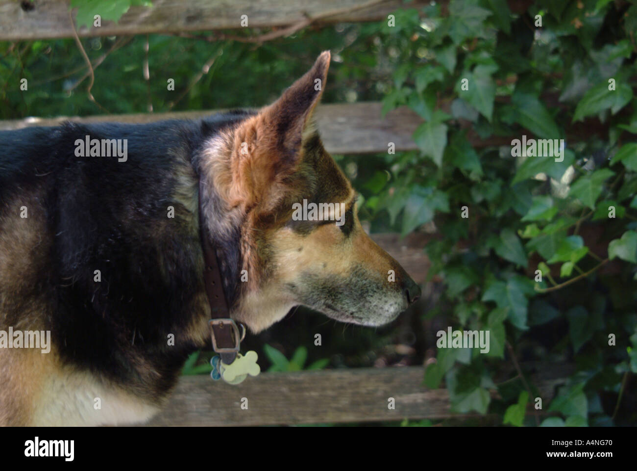 Pr m hi-res stock photography and images - Alamy