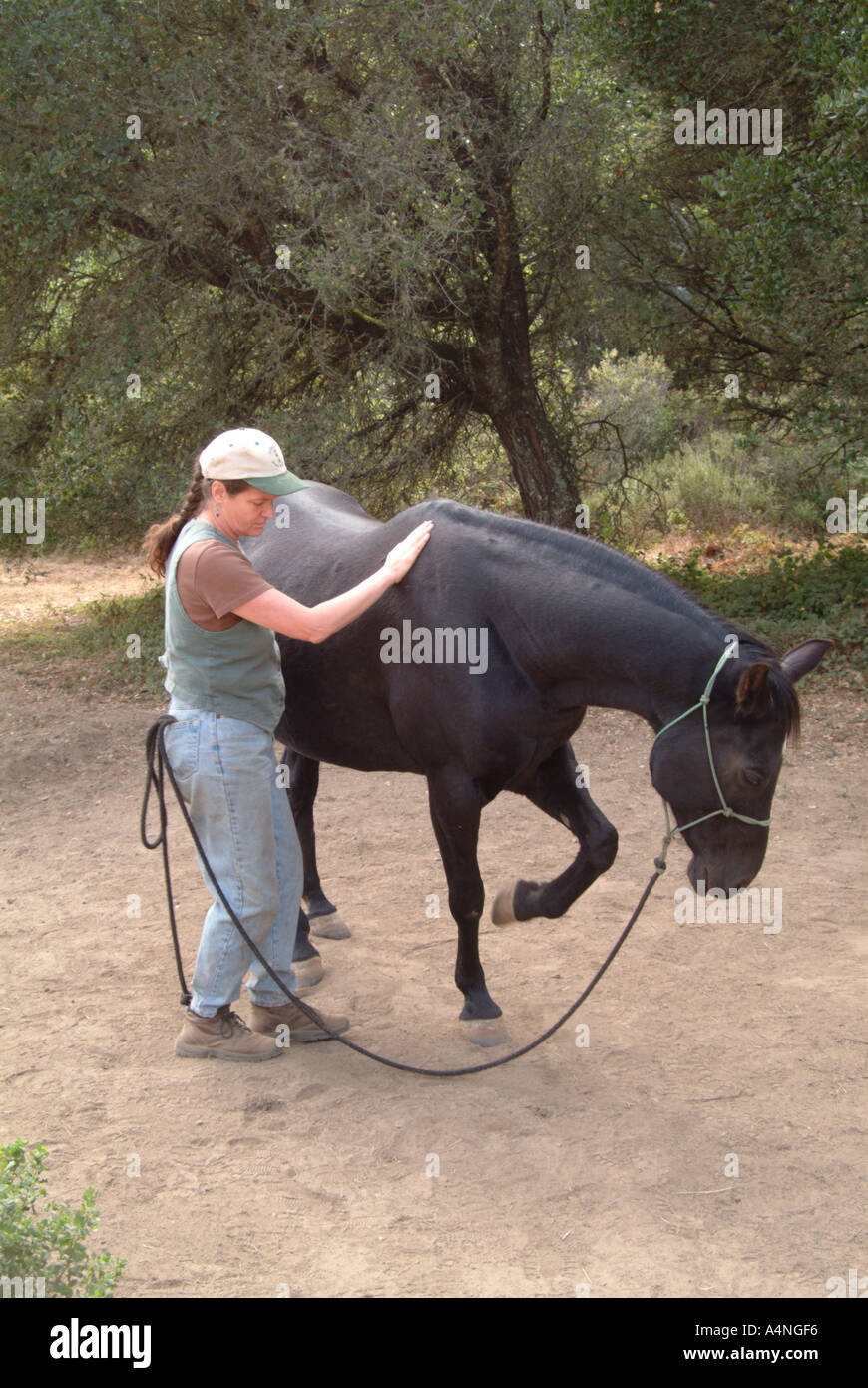 Inner shin hi-res stock photography and images - Alamy