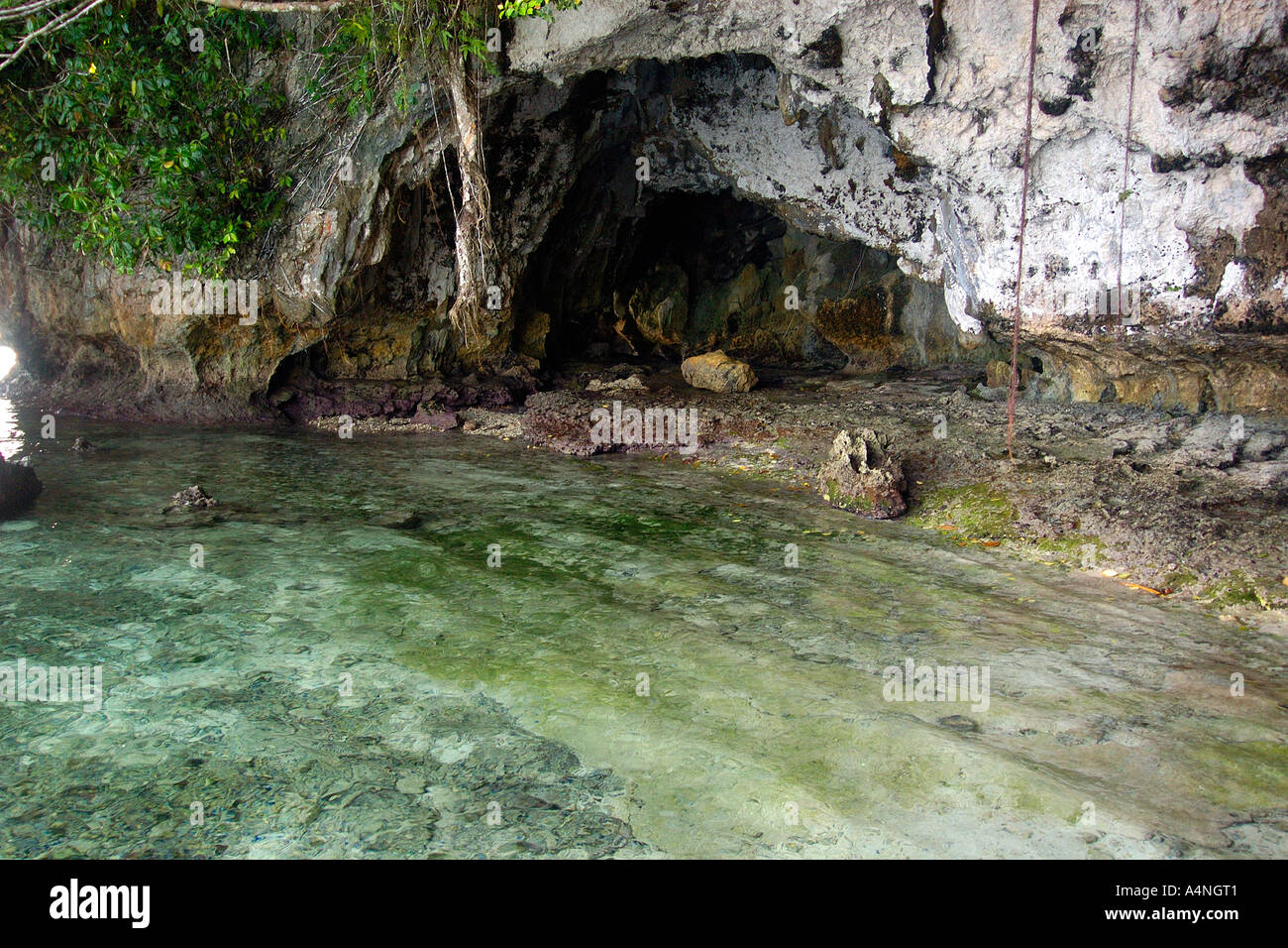 Rock island cave Palau Micronesia Stock Photo - Alamy