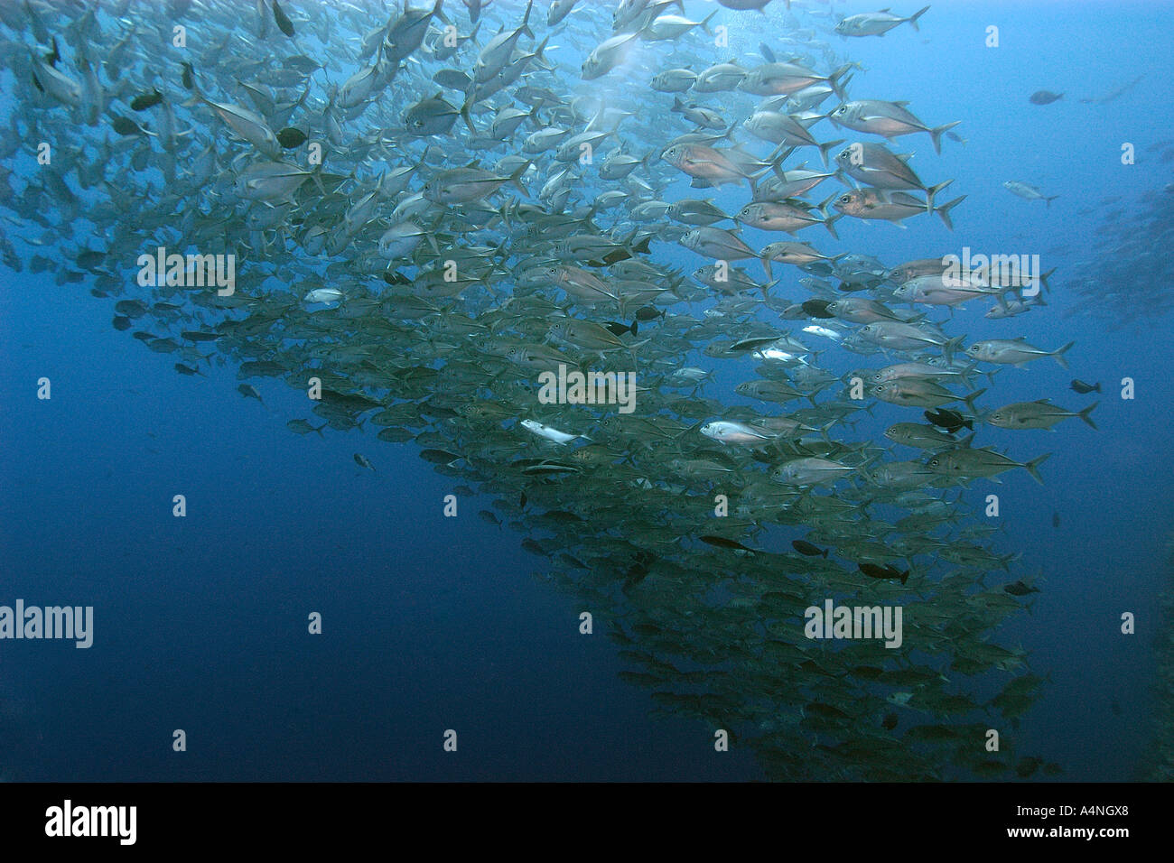 Palau blue corner wall hi-res stock photography and images - Alamy