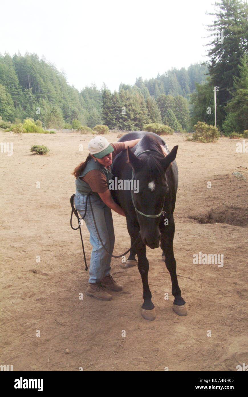 Inner shin hi-res stock photography and images - Alamy