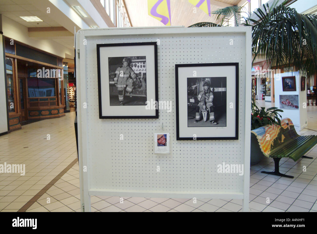 Photography display exhibit in Coddingtown Mall Santa Rosa California ...