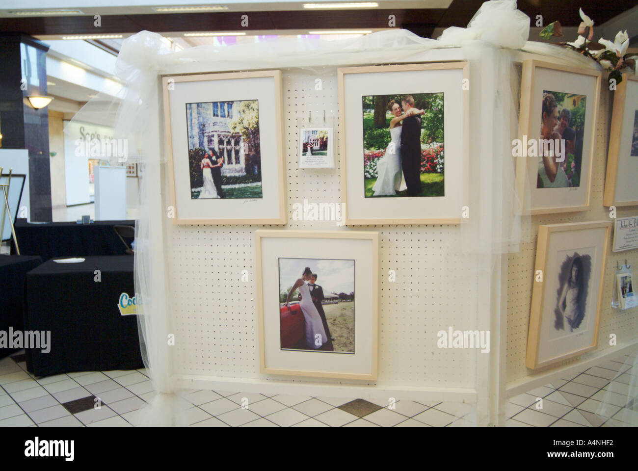 Photography display exhibit in Coddingtown Mall Santa Rosa California ...