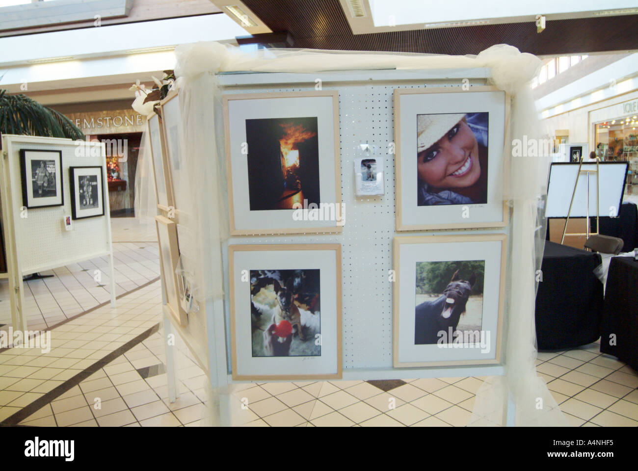 Photography display exhibit in Coddingtown Mall Santa Rosa California ...