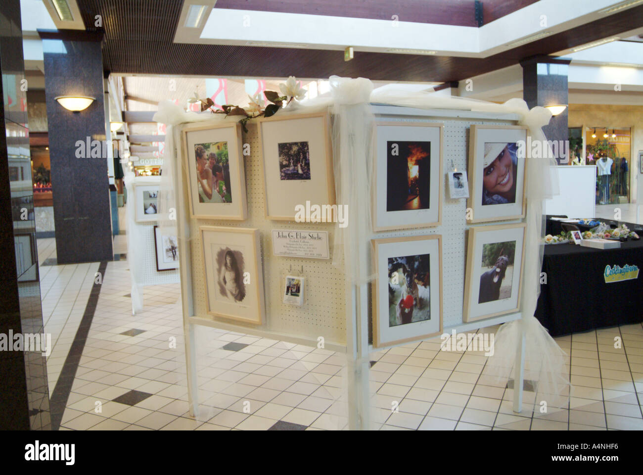 Photography display exhibit in Coddingtown Mall Santa Rosa California ...
