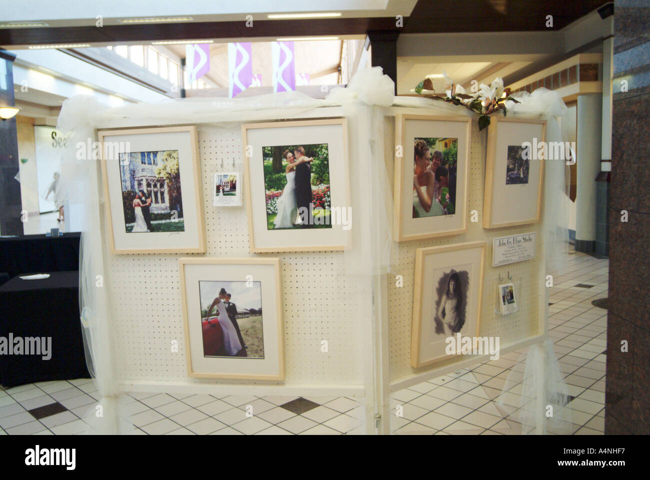 Photography display exhibit in Coddingtown Mall Santa Rosa California ...