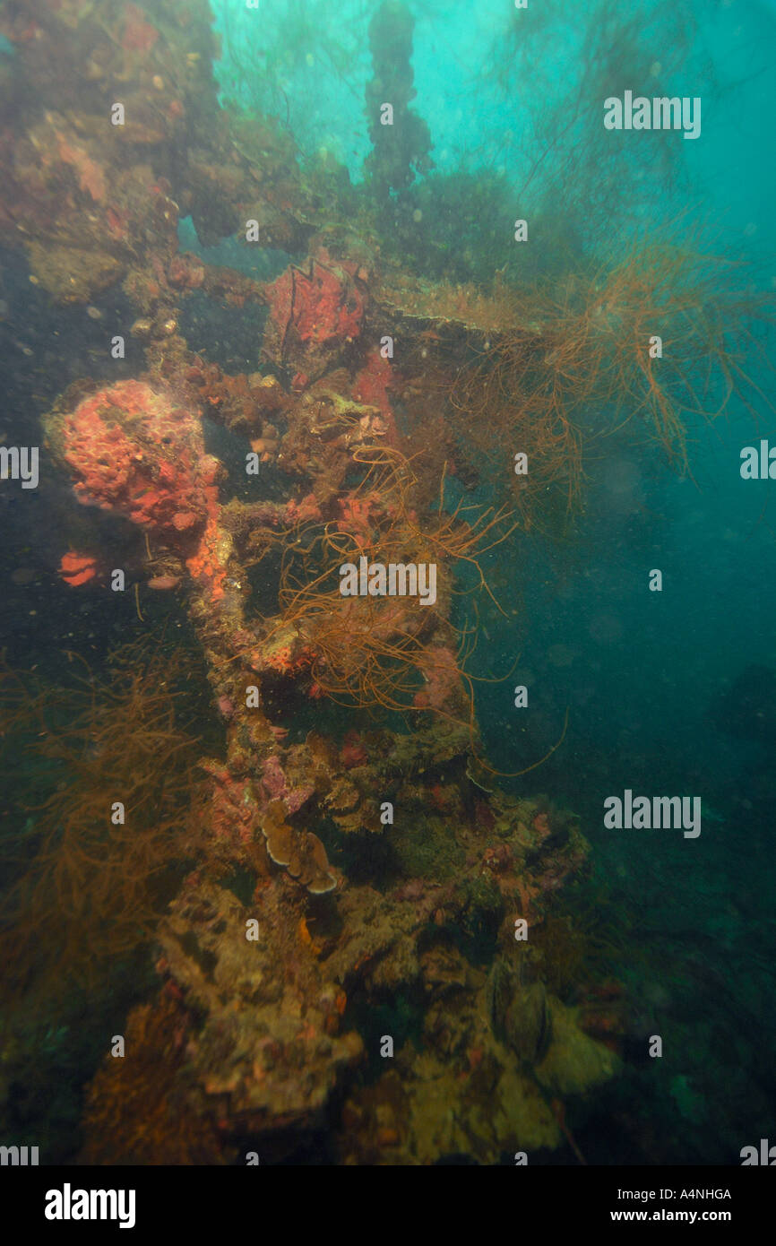 Stairway connecting to upper deck Iro Maru ship wreck a Japanese ...
