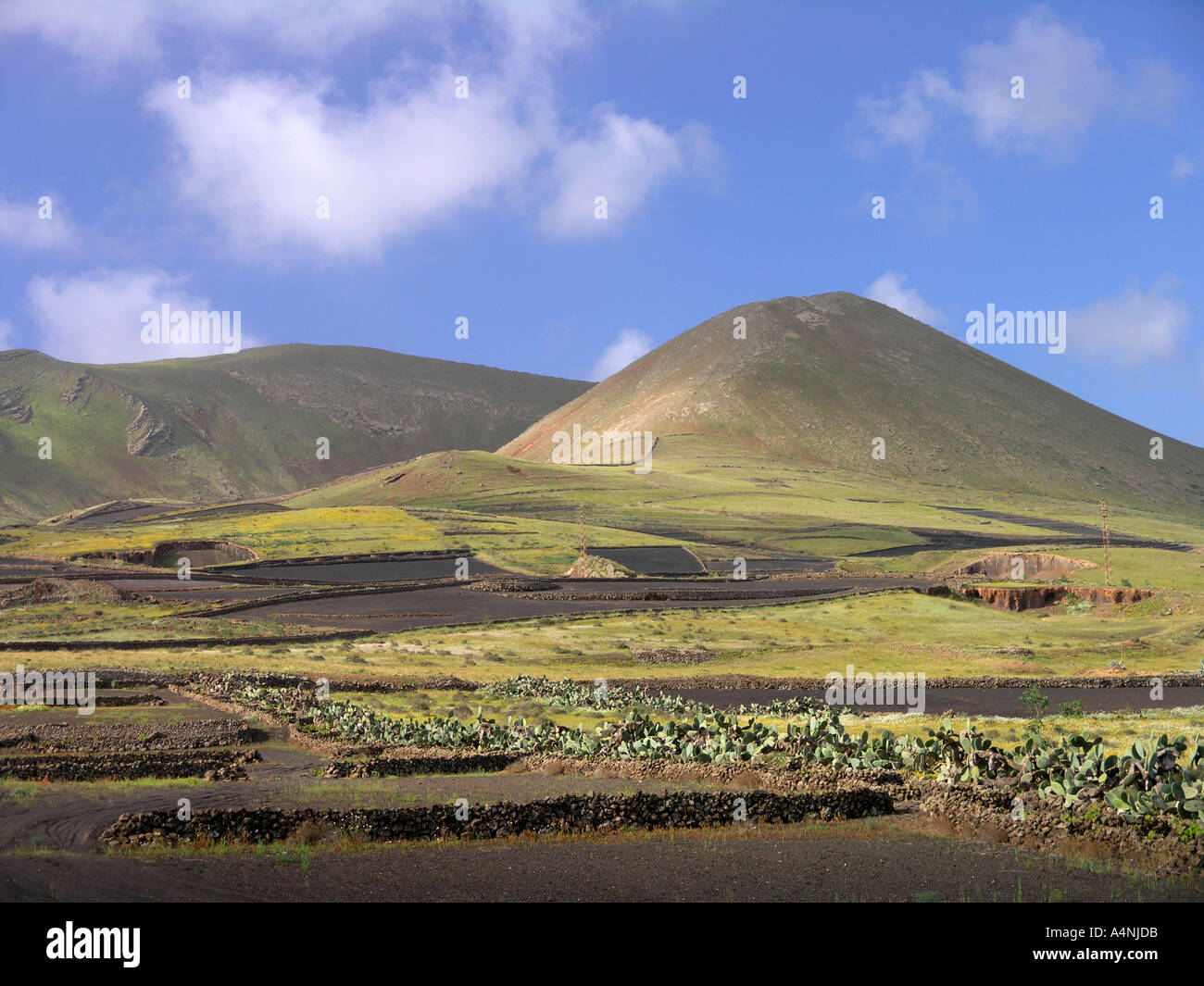 Lanzarote Volcanic Landscape Springtime Stock Photo - Alamy