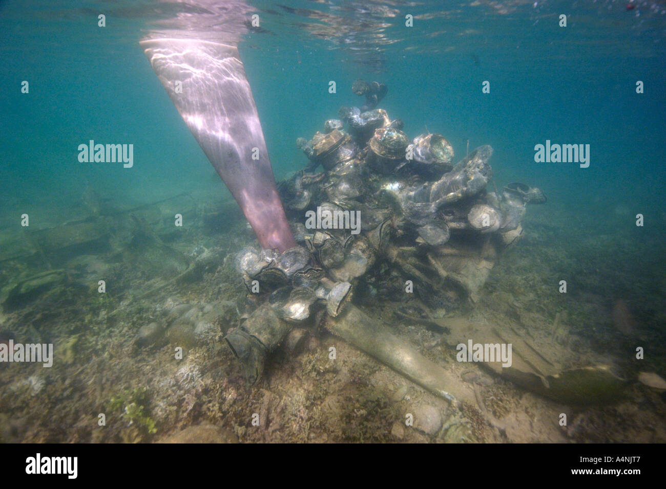 Propeller of Japanese Zero fighter plane used during Word War 2 ...