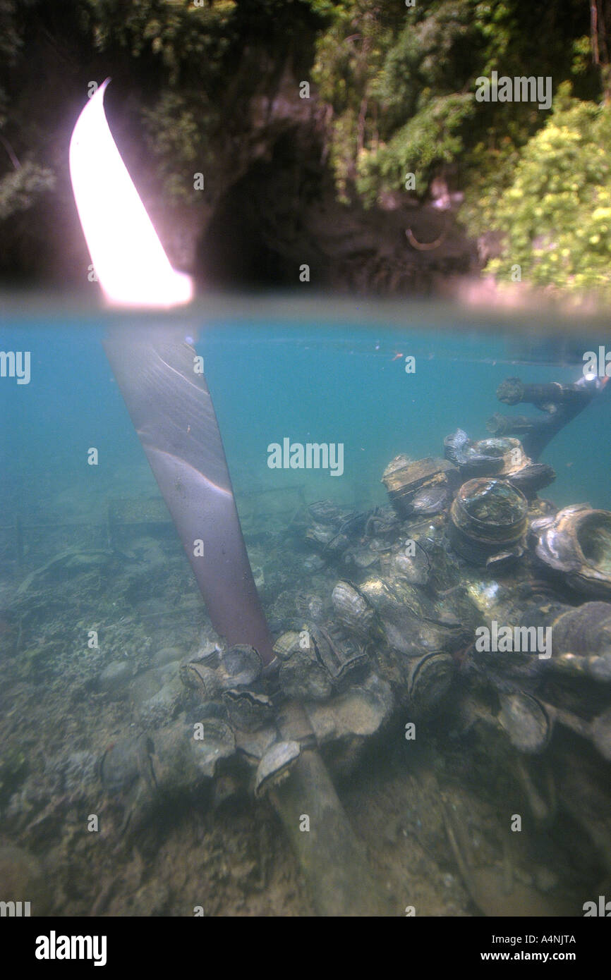 Sun light reflecting off the propeller of a Japanese Zero fighter plane ...