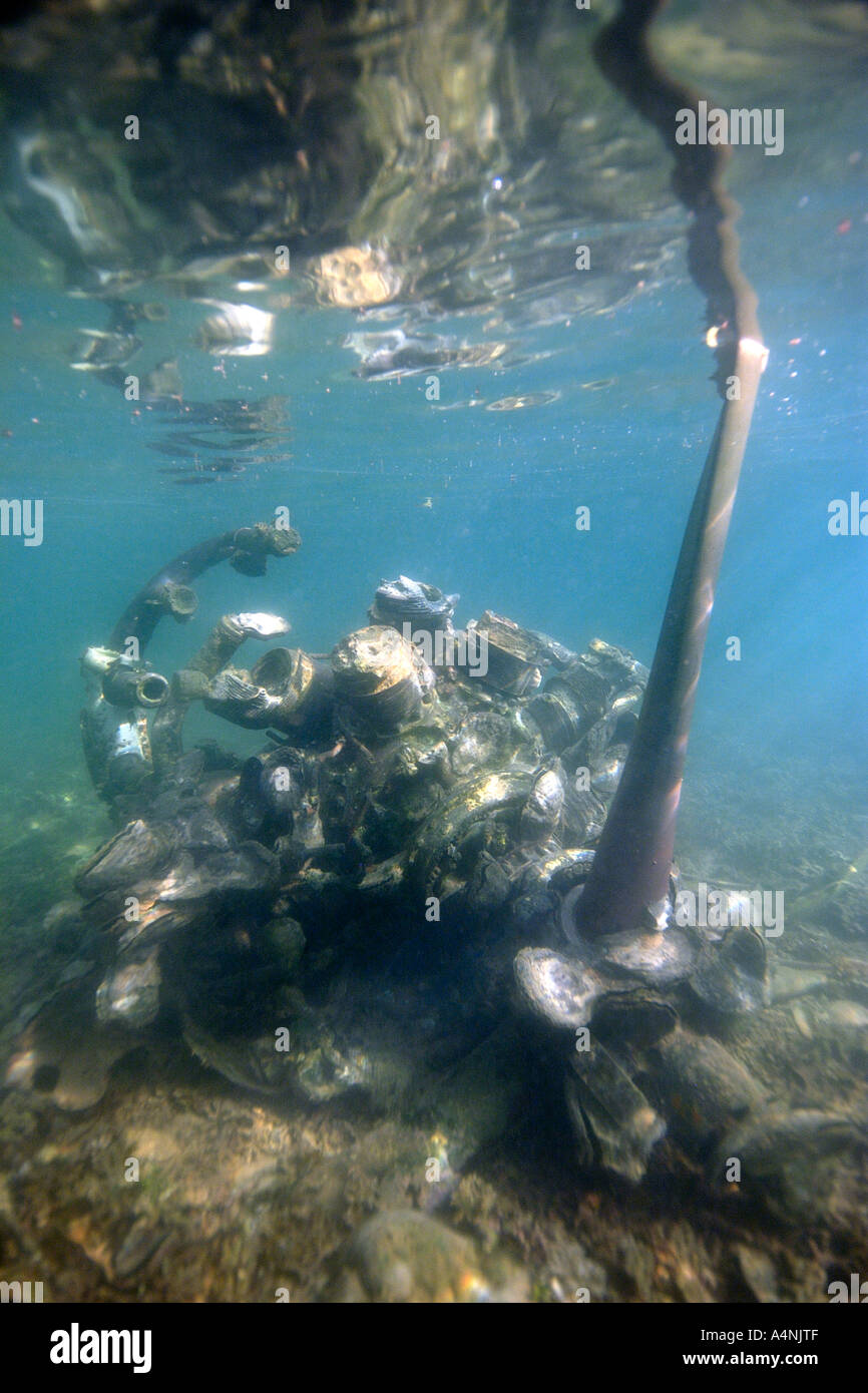 Propeller of Japanese Zero fighter plane used during Word War 2 ...