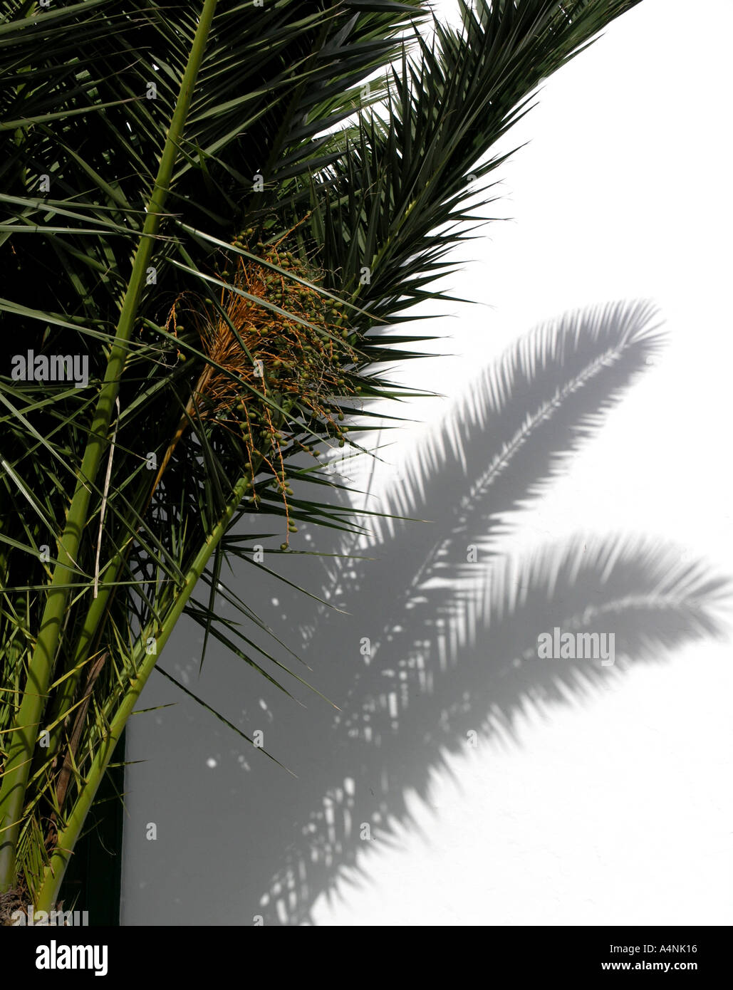 Light shadow textures in hi-res stock photography and images - Alamy