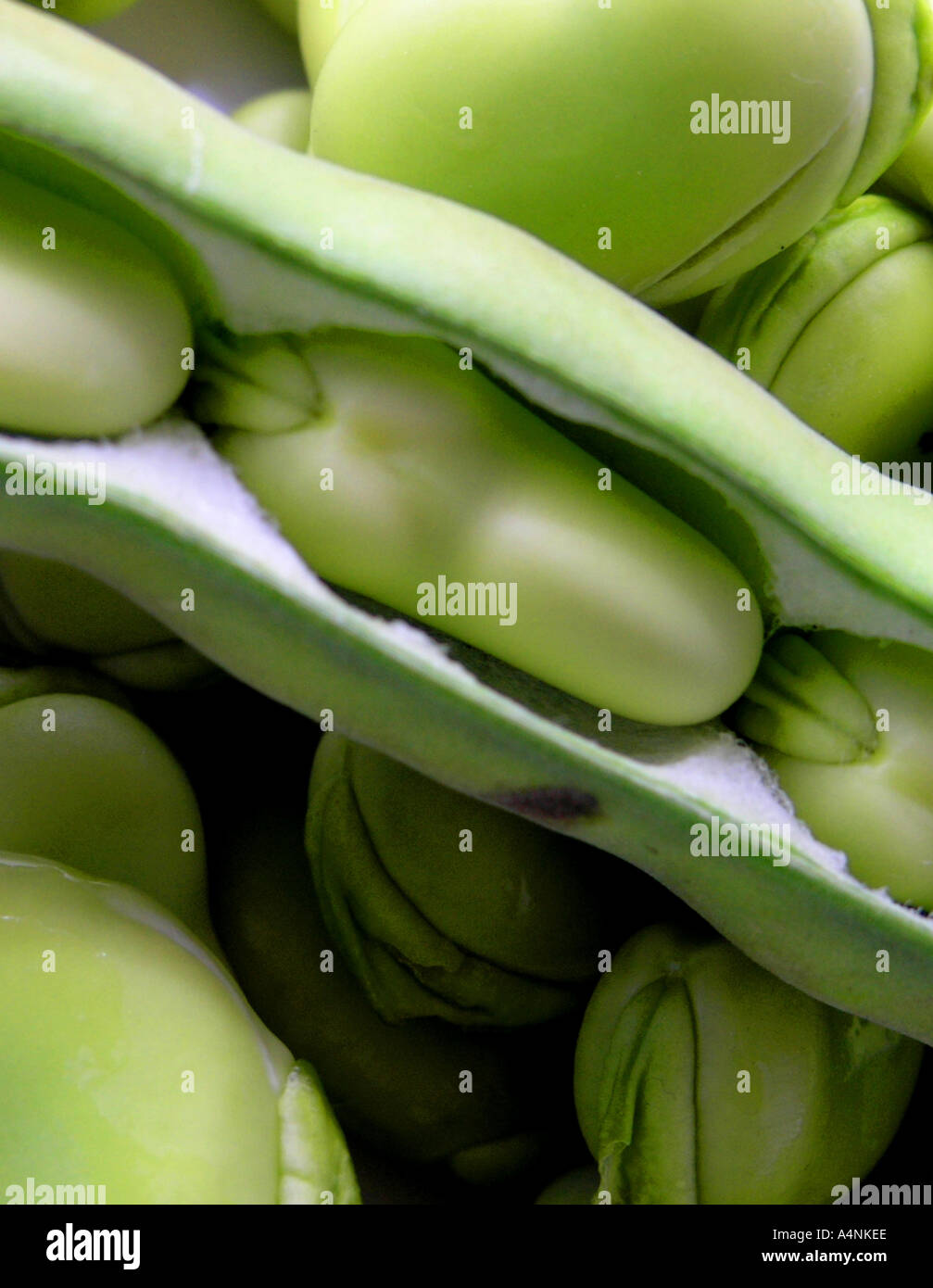 Fibre lining hi-res stock photography and images - Alamy