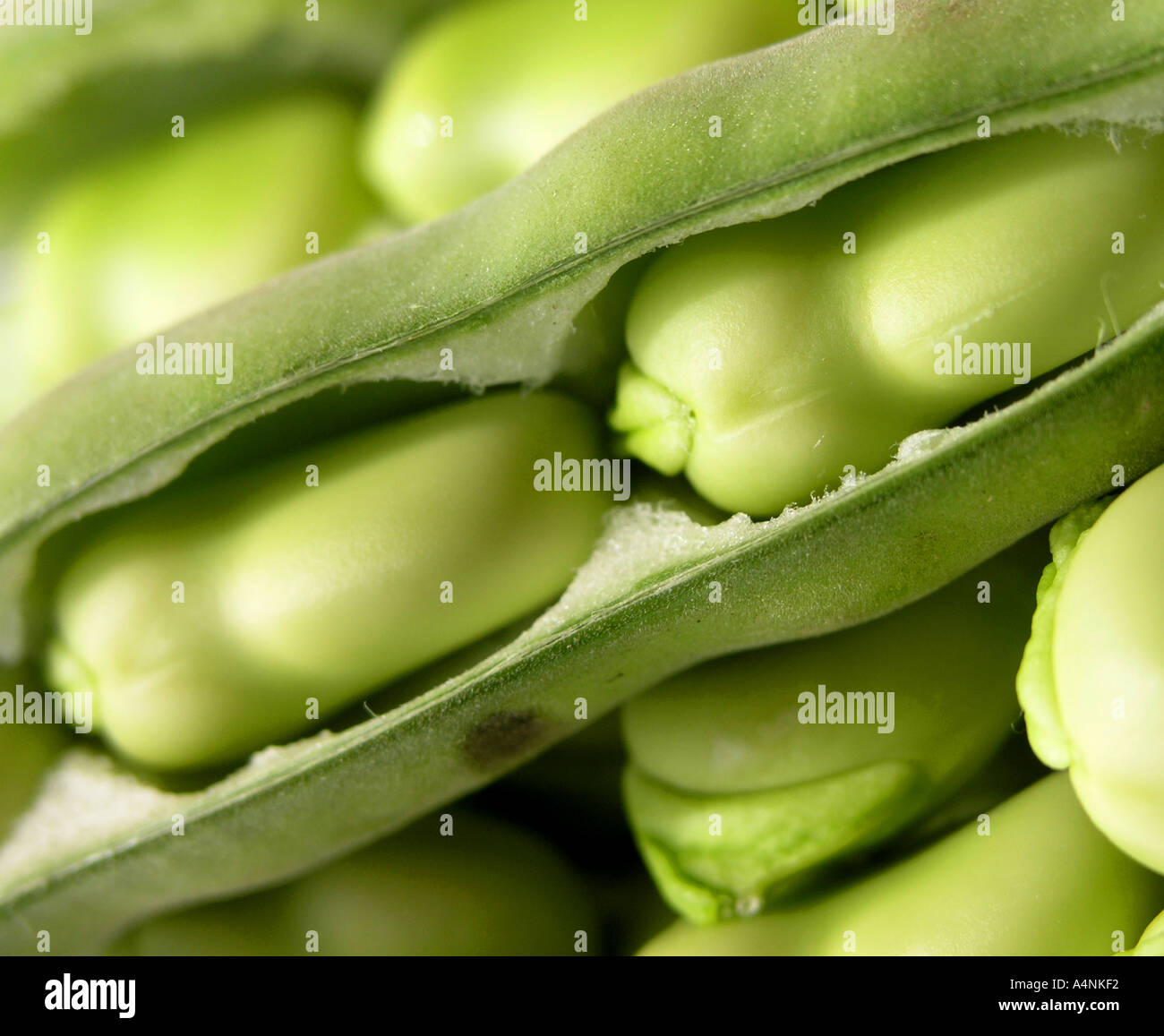 Fibre lining hi-res stock photography and images - Alamy