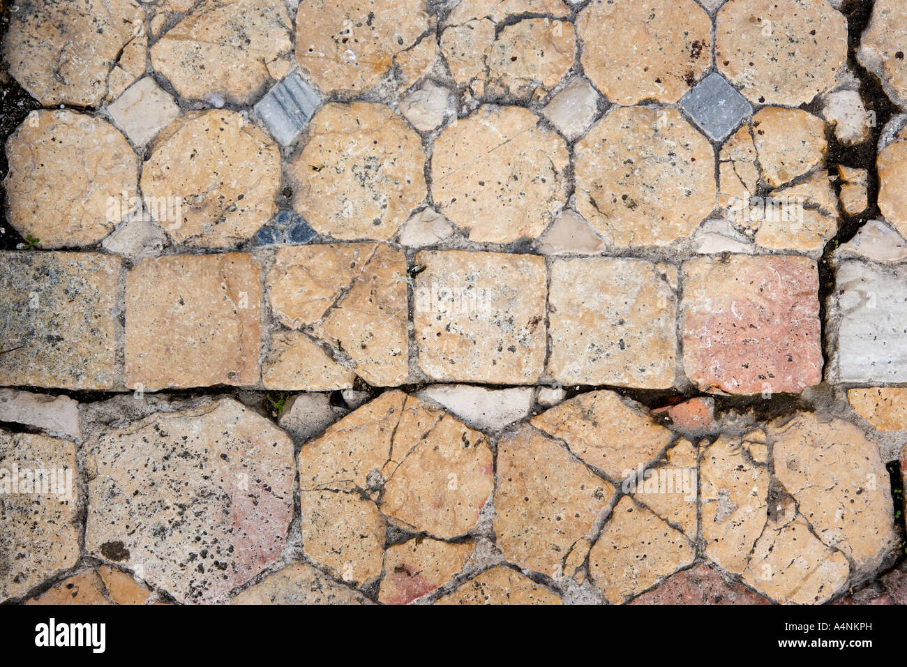 Roman mosaic tiled flooring hi-res stock photography and images - Alamy