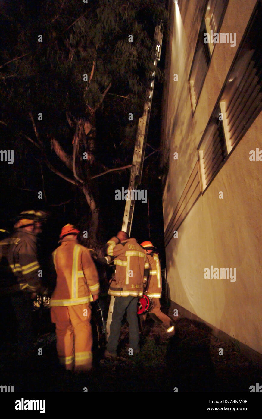 Firefighter trainees practice their skills with ladders Stock Photo - Alamy