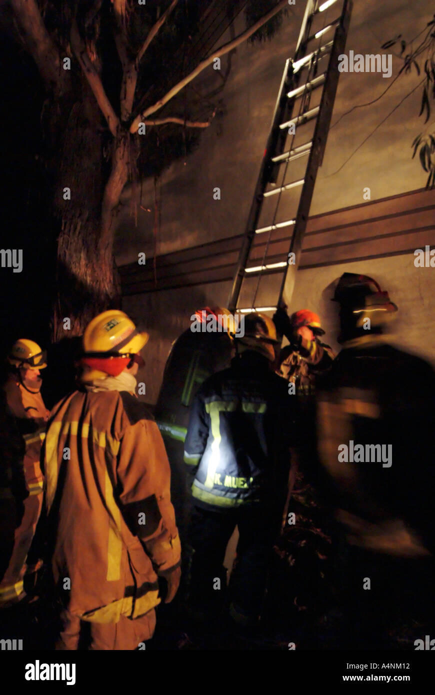 Firefighter trainees practice their skills with ladders Stock Photo - Alamy