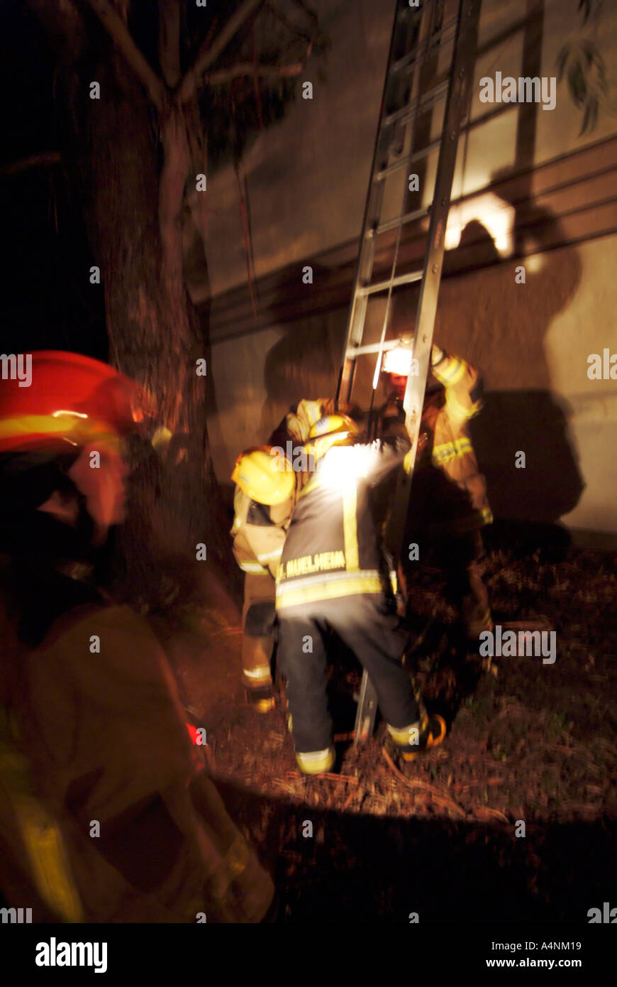 Firefighter trainees practice their skills with ladders Stock Photo - Alamy