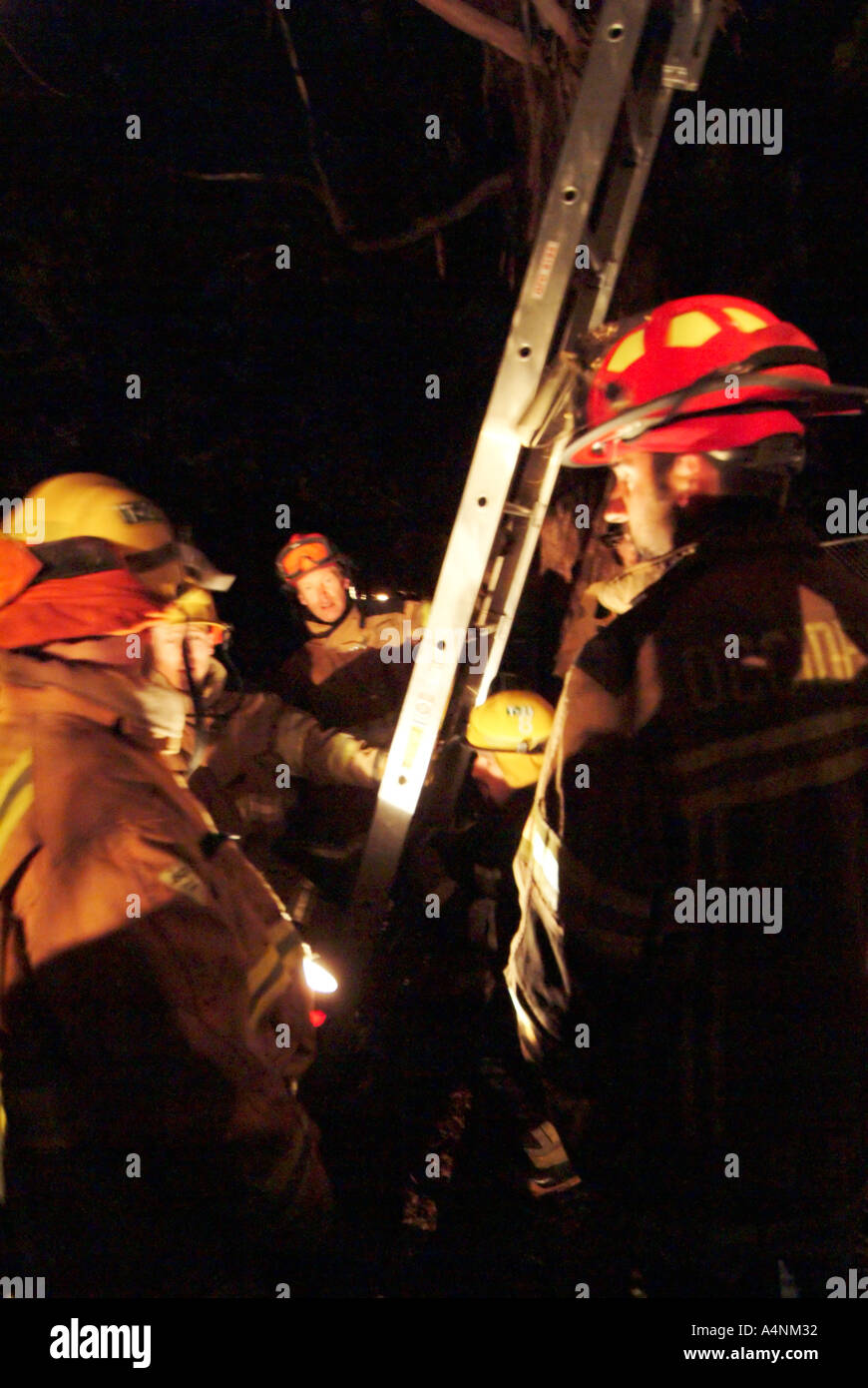 Firefighter trainees practice their skills with ladders Stock Photo - Alamy