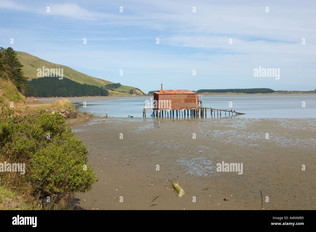 Decrepit fishing hut on Papanui Inlet Otago Peninsula Stock Photo - Alamy