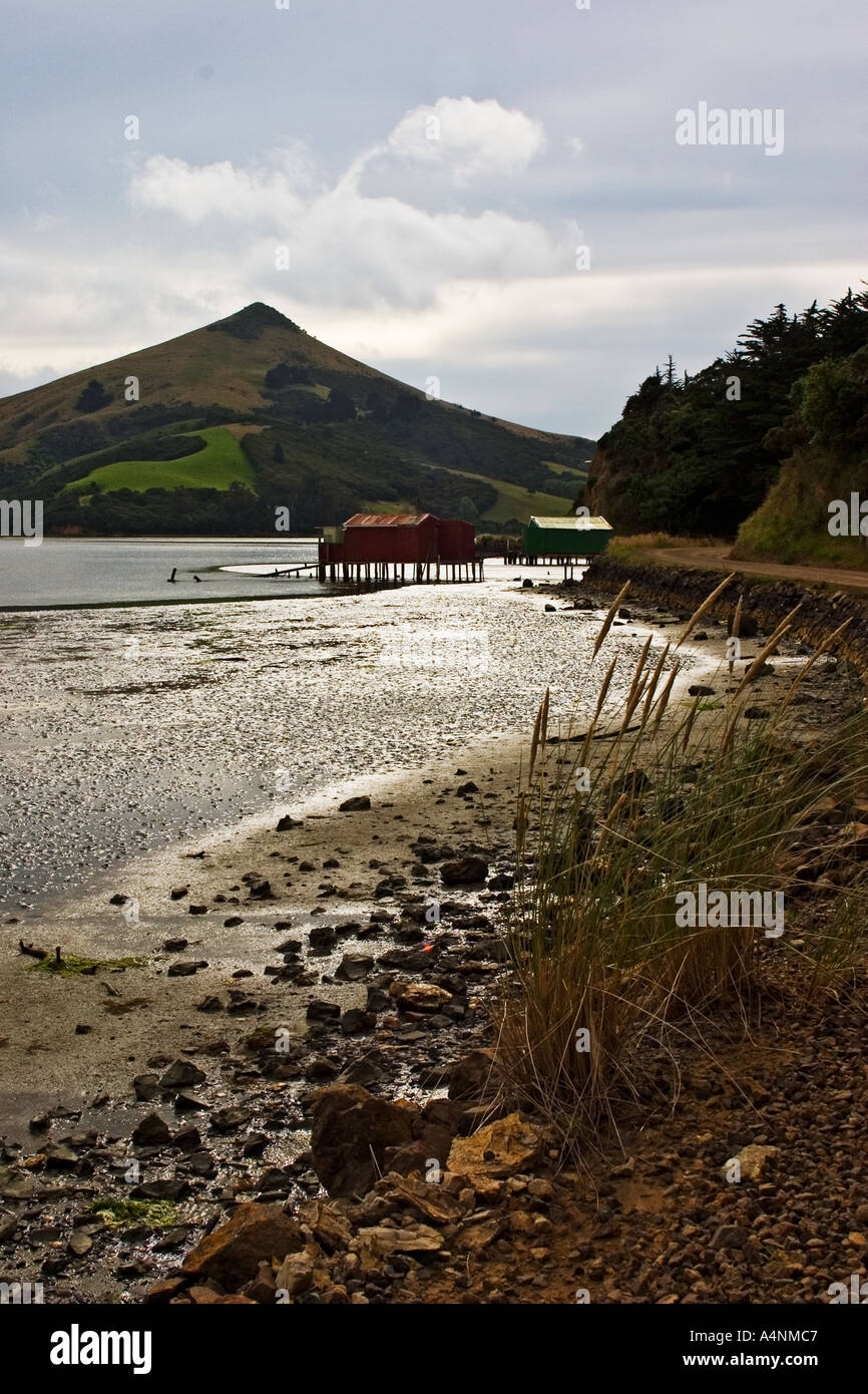 Fishing hut on Papanui Inlet Otago Peninsula Stock Photo - Alamy