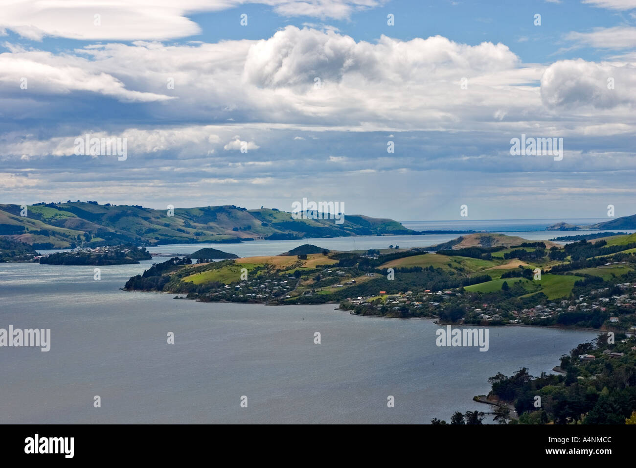 Dunedin harbour dunedin harbour hi-res stock photography and images - Alamy