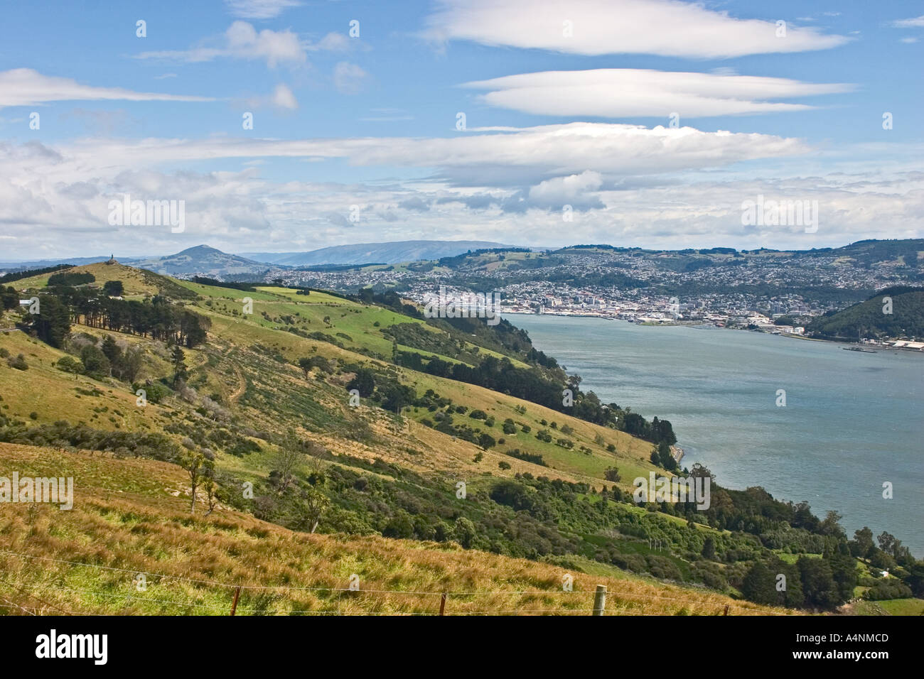 Dunedin otago harbour south hi-res stock photography and images - Alamy