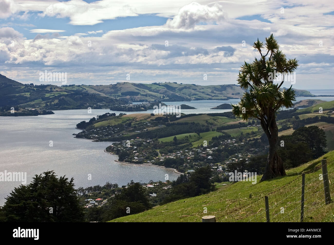 Otago harbour hi-res stock photography and images - Alamy