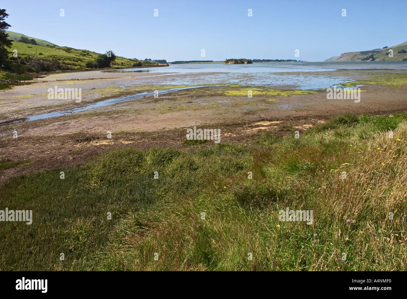 Papanui inlet hi-res stock photography and images - Alamy