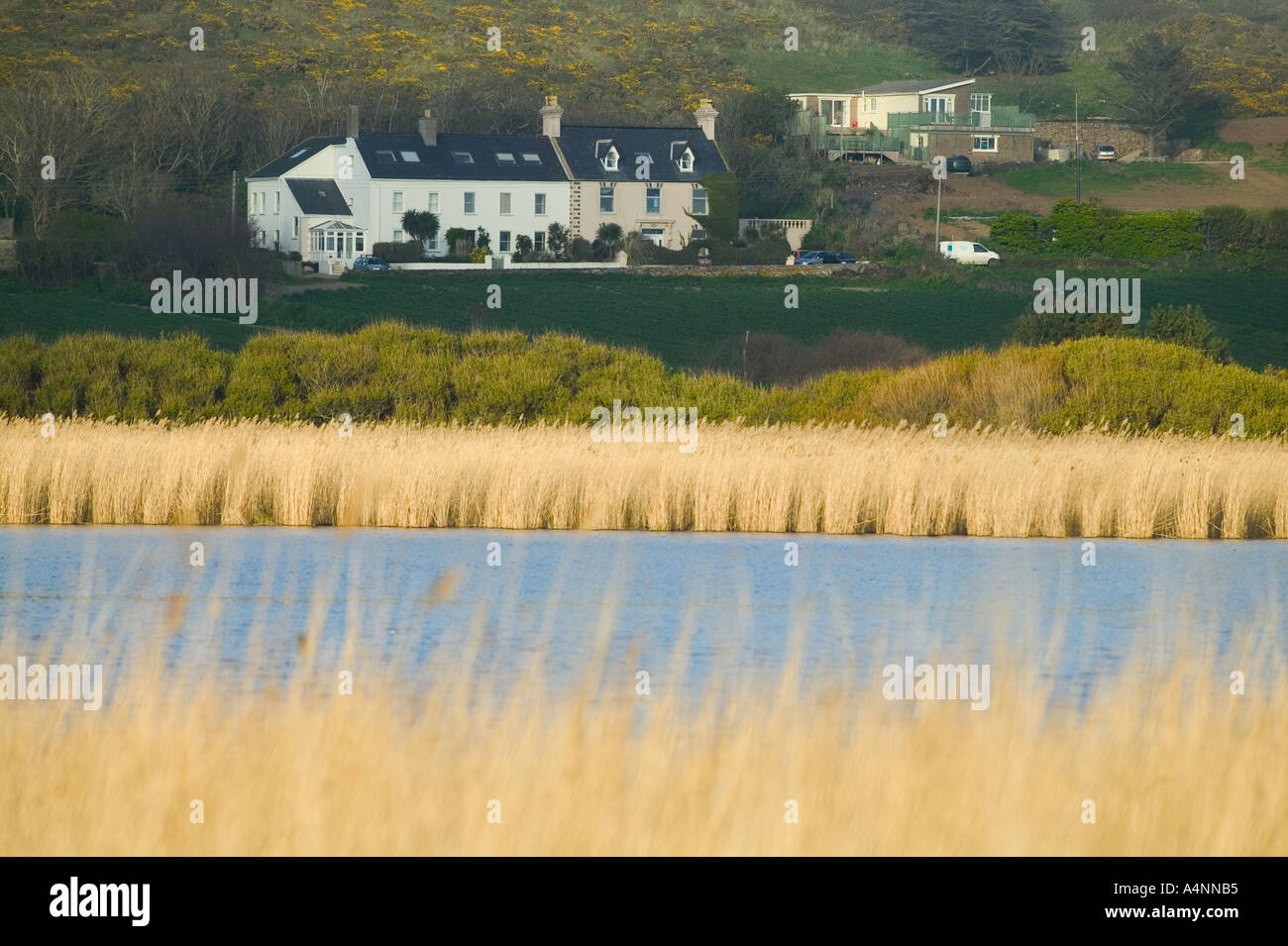 Traditional cottages overlooking St Ouens Pond Jersey Channel Islands ...