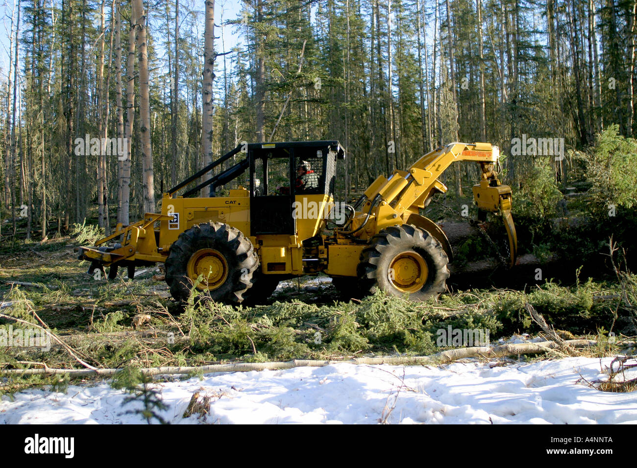 Grapple Skidder