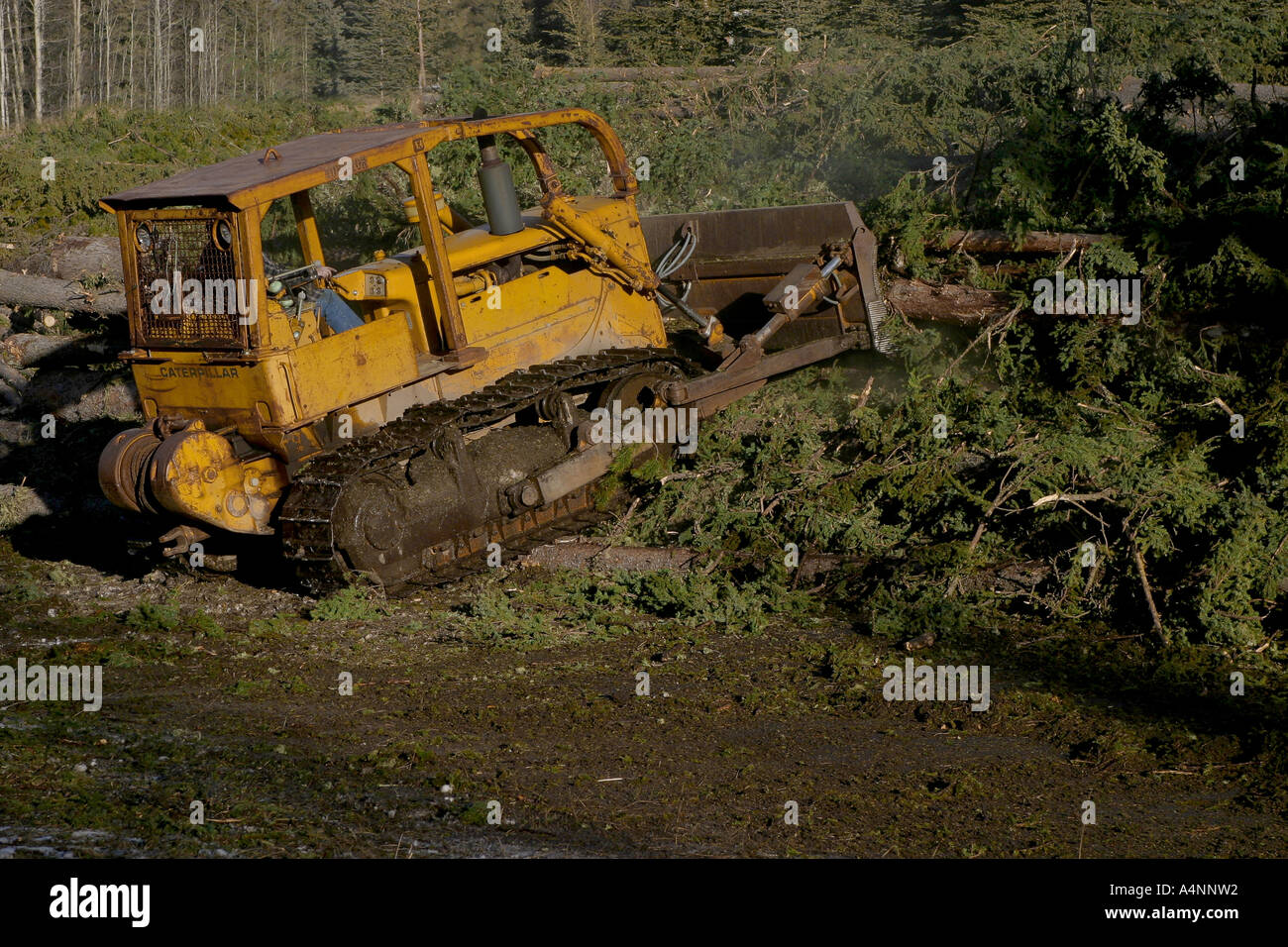 Logging tracks hi-res stock photography and images - Alamy