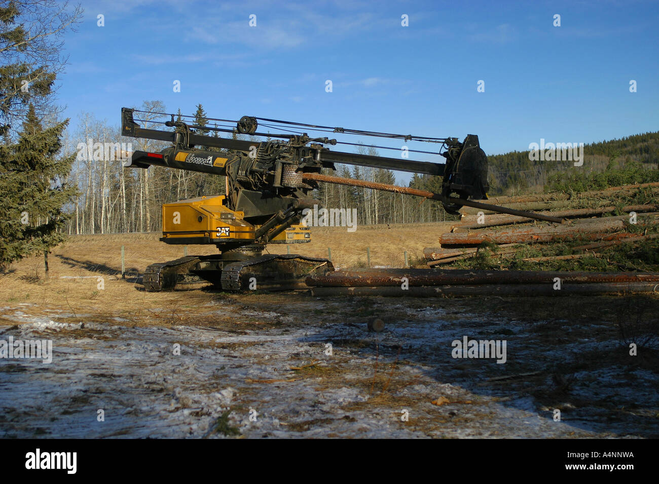 Delimber hi-res stock photography and images - Alamy