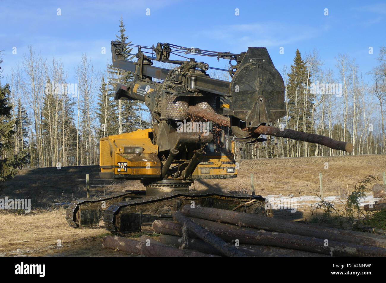 Delimber equipment machine hi-res stock photography and images - Alamy