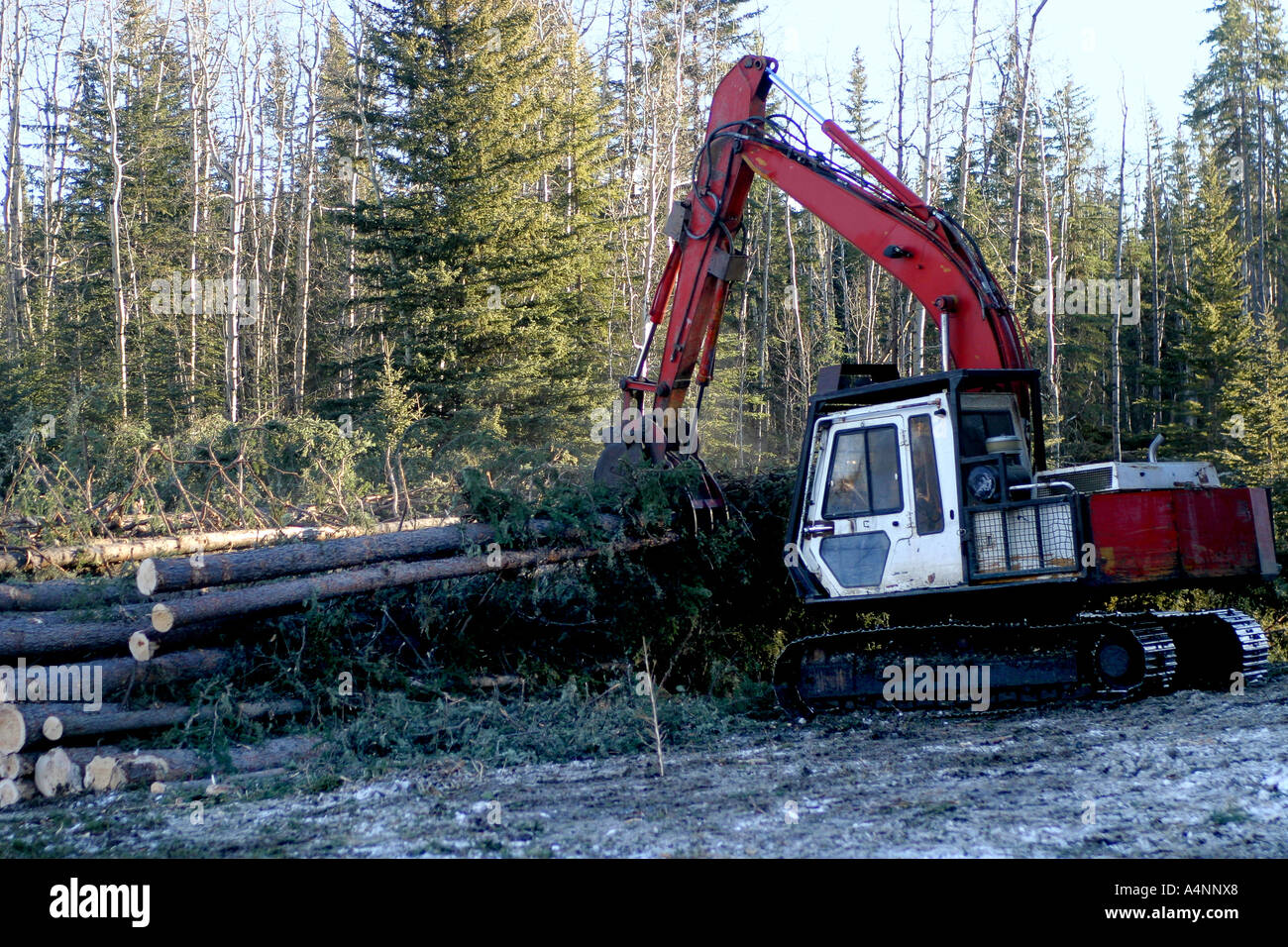 Loader logger logging logging hi-res stock photography and images - Alamy