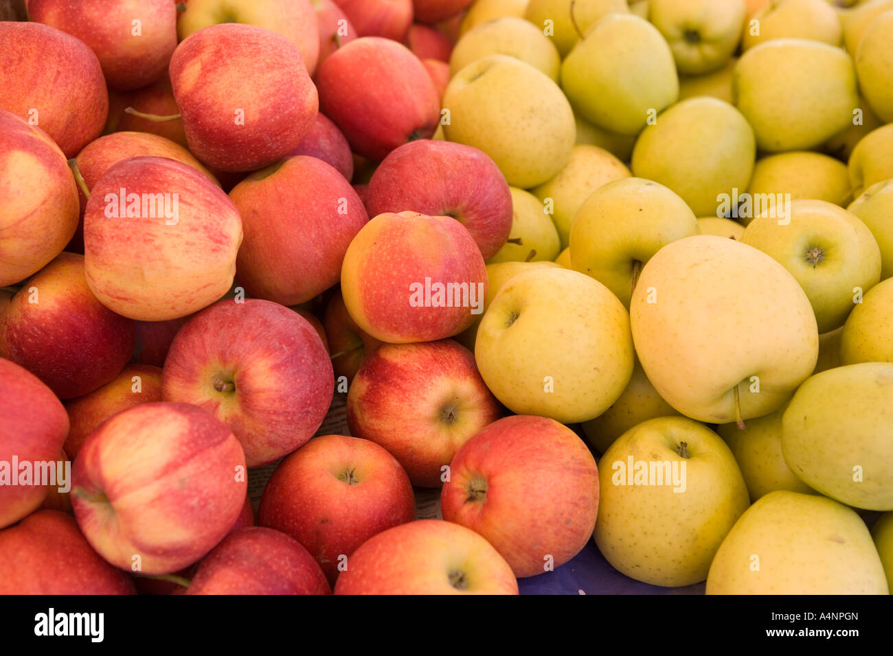 Red and yellow apples Stock Photo - Alamy